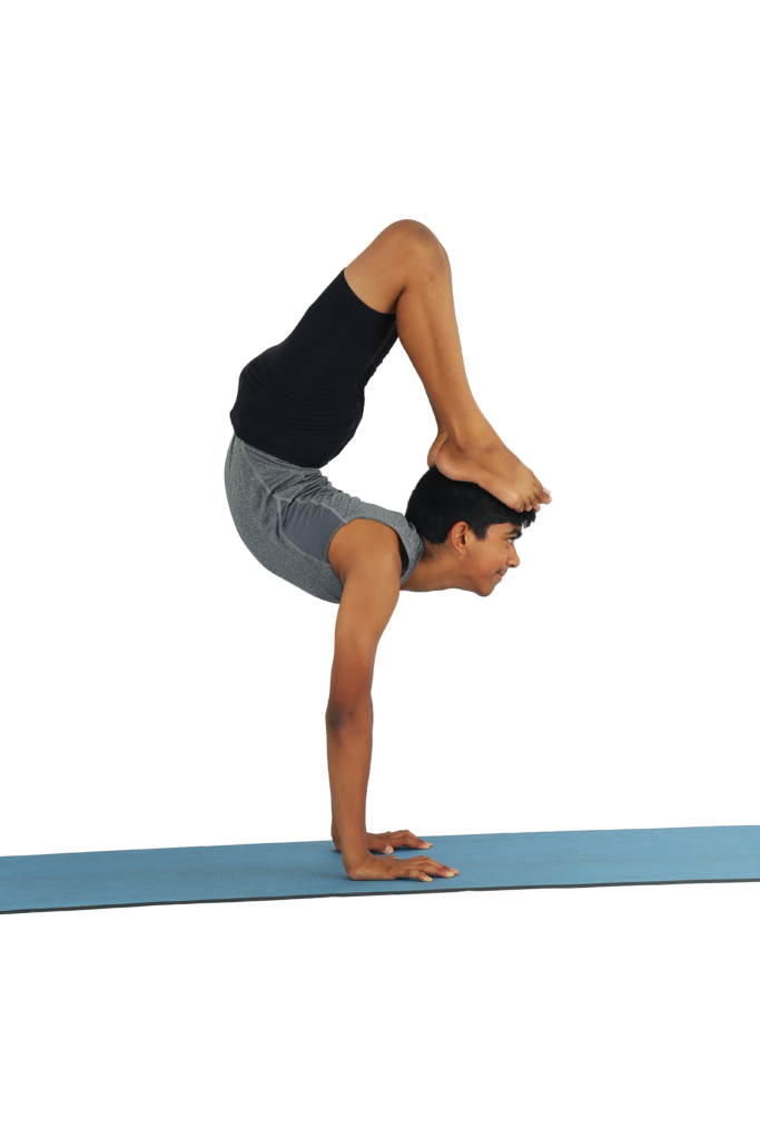 Locust Scorpion Pose HOW TO LEARN SCORPION POSE PINCHA MAYURASANA